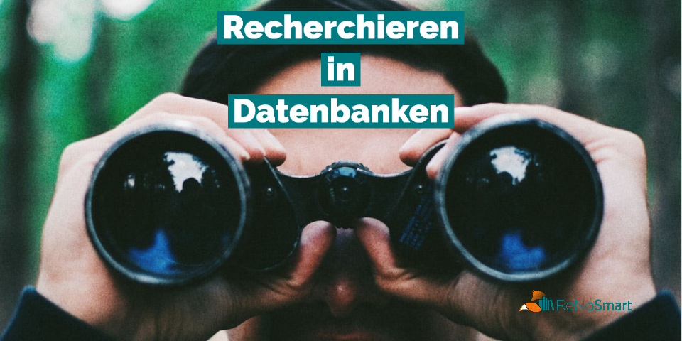 Recherchieren in Datenbanken: Ein Wegweiser zum leichteren Auffinden ...