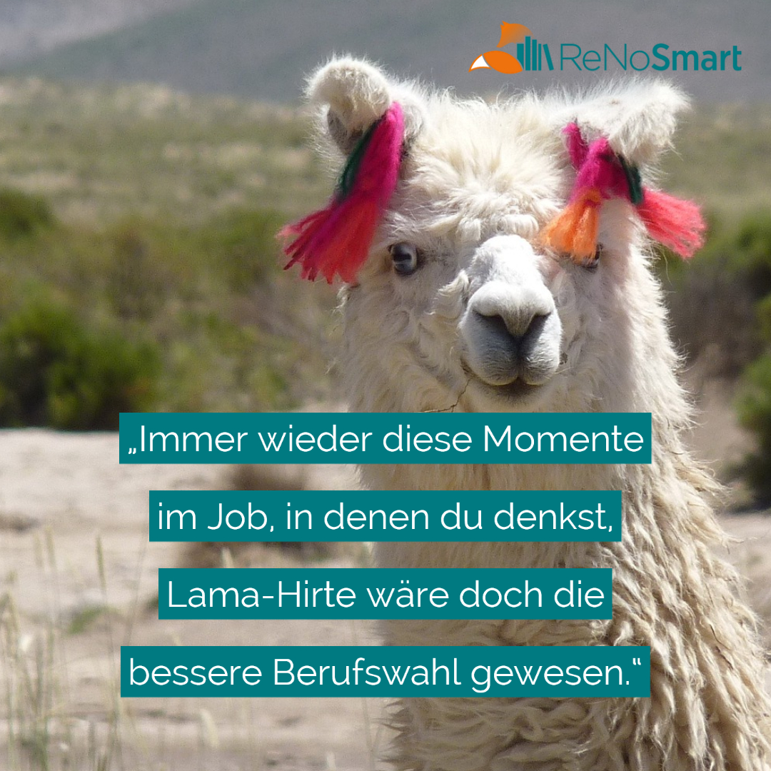 Immer wieder diese Momente im Job, in denen du denkst, Lama-Hirte wäre ...