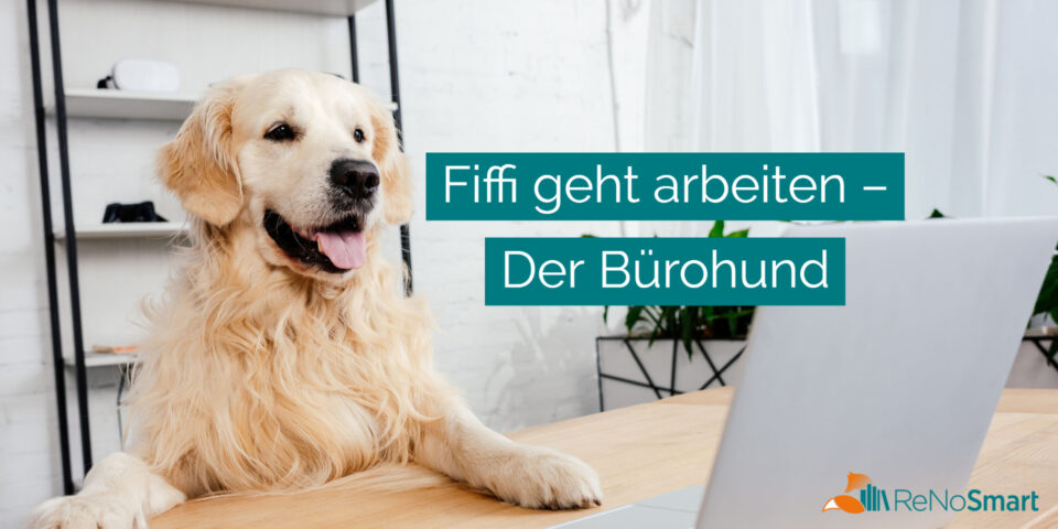 Fiffi geht arbeiten – Der Bürohund - Alles für ReNos