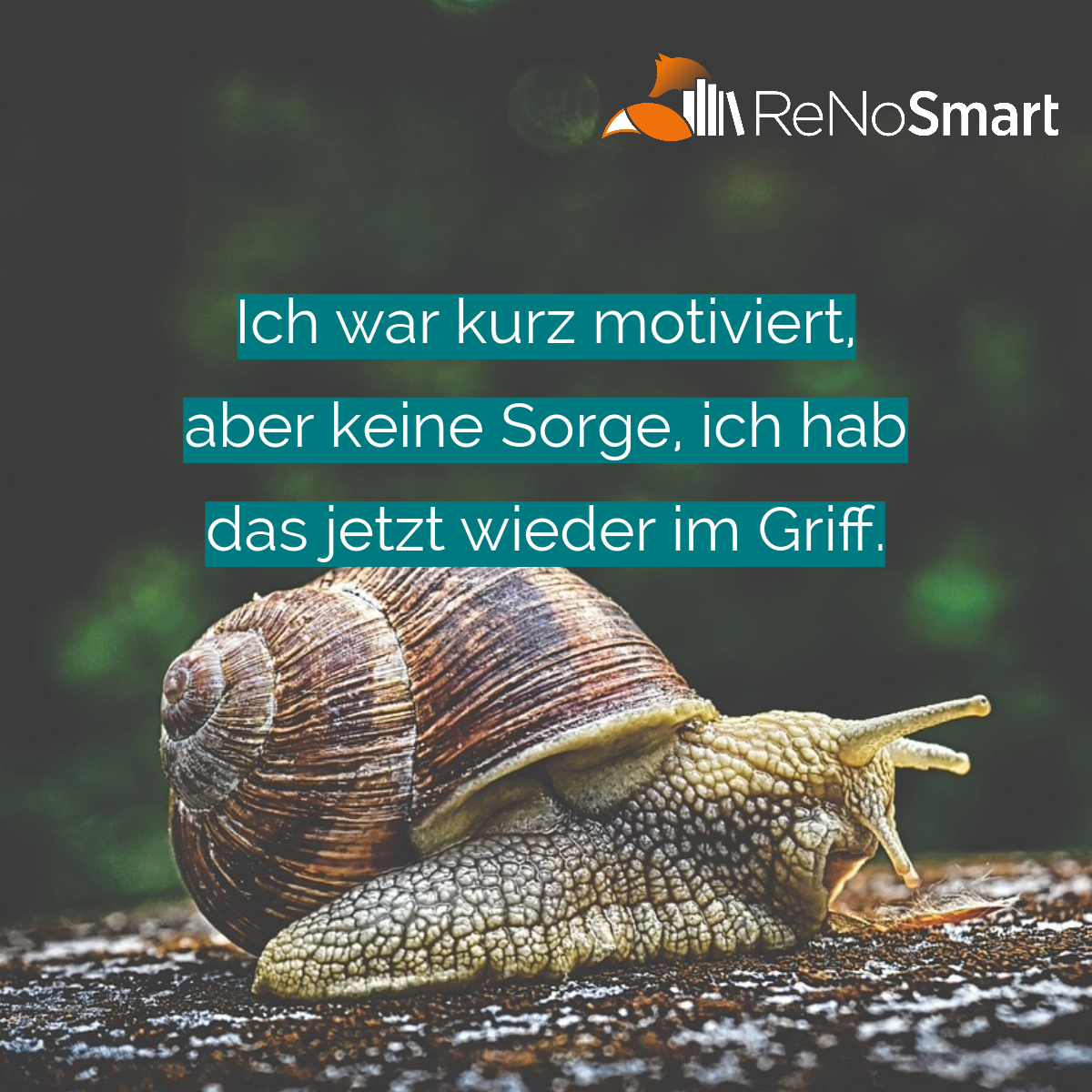 Ich war kurz motiviert, aber keine Sorge, ich hab das jetzt wieder im Griff. - Alles für ReNos