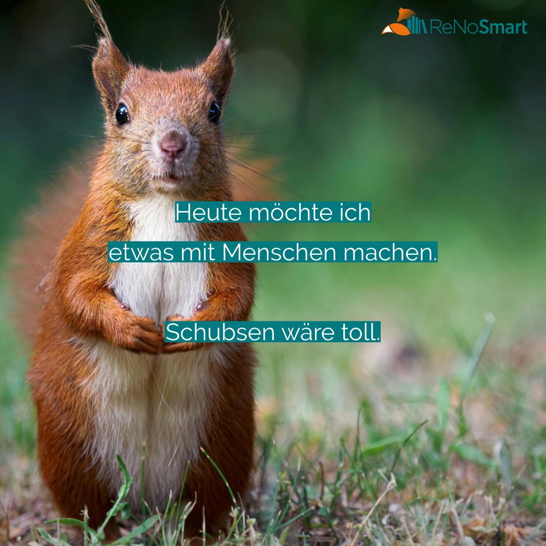 Heute Mochte Ich Was Mit Menschen Machen Schubsen Ware Toll