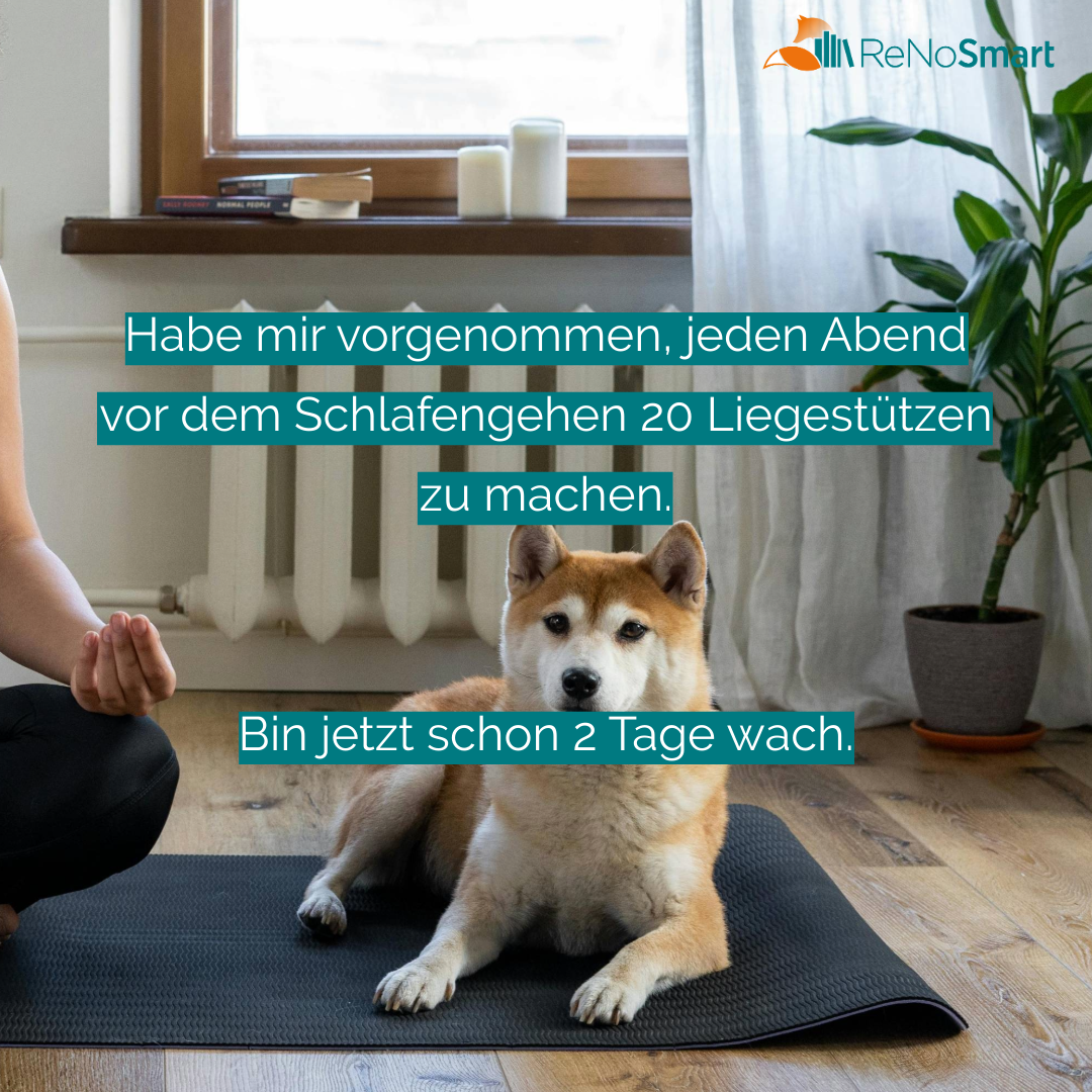 Habe mir vorgenommen, jeden Abend vor dem Schlafengehen 20 Liegestützen ...